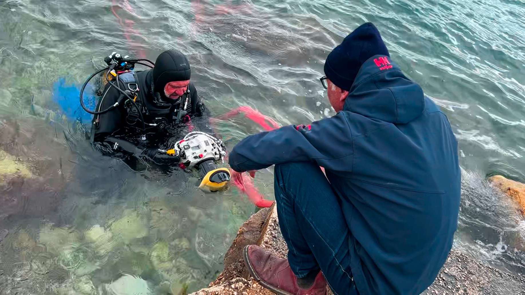 À Martigues, l'épave des Laurons, objet de toutes les attentions