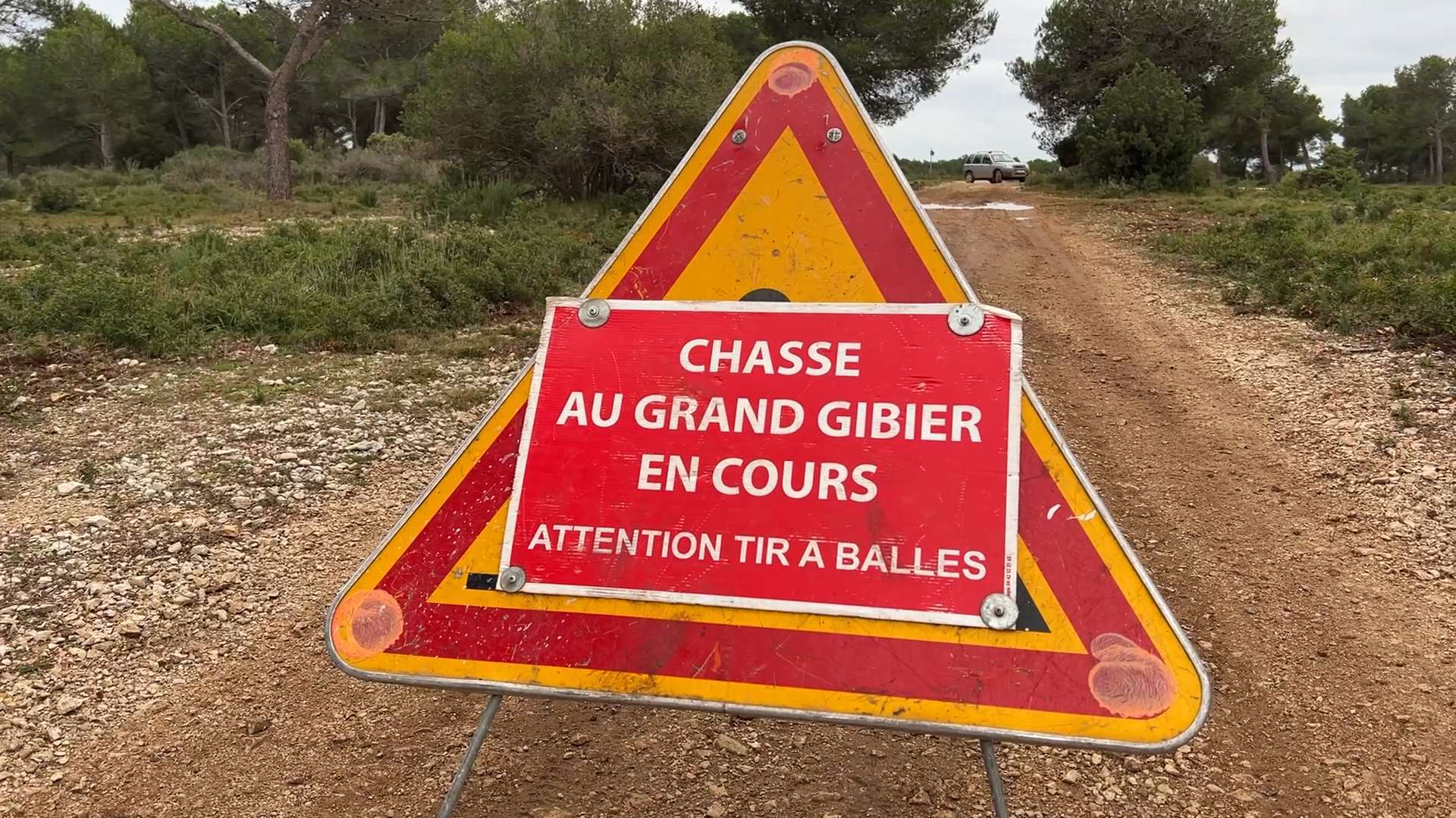 Une battue aux sangliers ce vendredi matin à Carry-le-Rouet